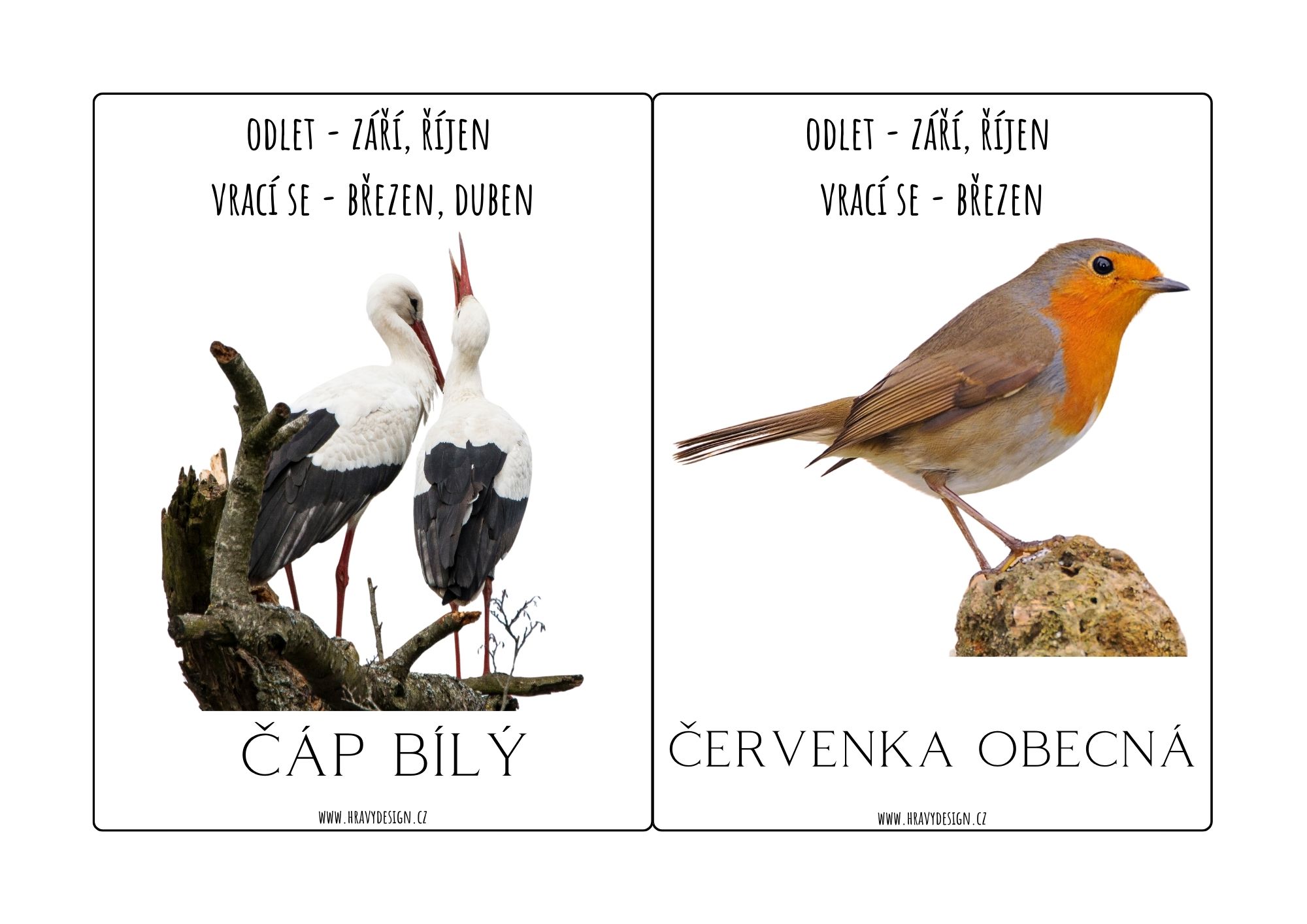 PTÁCI ČR - Demonstrační obrázky - PŘEZIMUJÍ? ODLÉTAJÍ? - Přírodověda | UčiteléUčitelům.cz